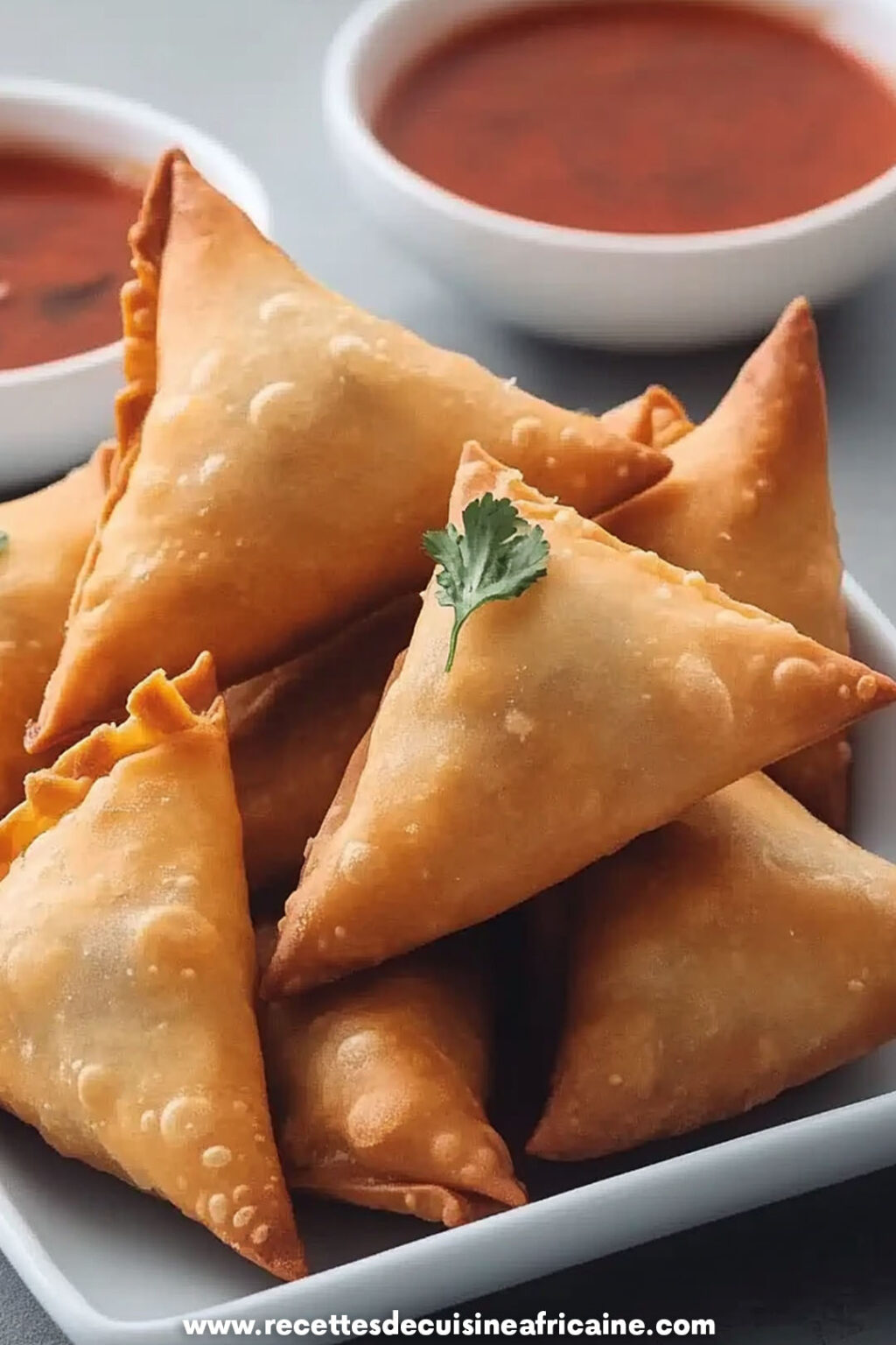 Recette de Samoussas au Poulet - Recettes de Cuisine Africaine