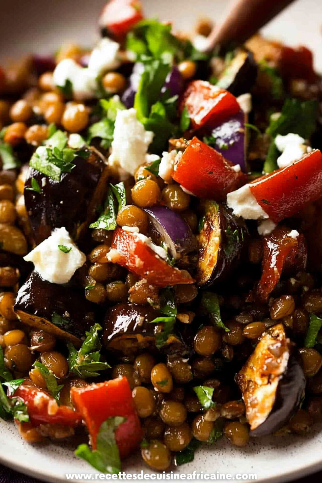 Aubergine Rôtie au Four - Recettes de Cuisine Africaine