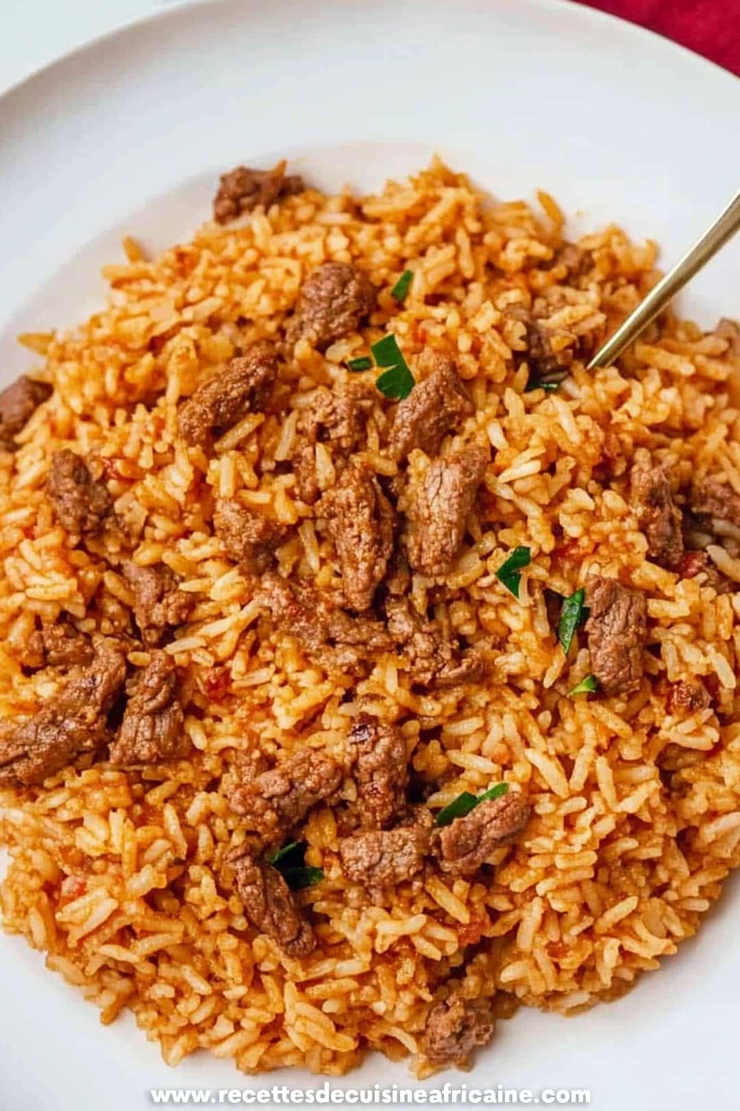 Riz et Bœuf en Une Seule Casserole - Recettes de Cuisine Africaine