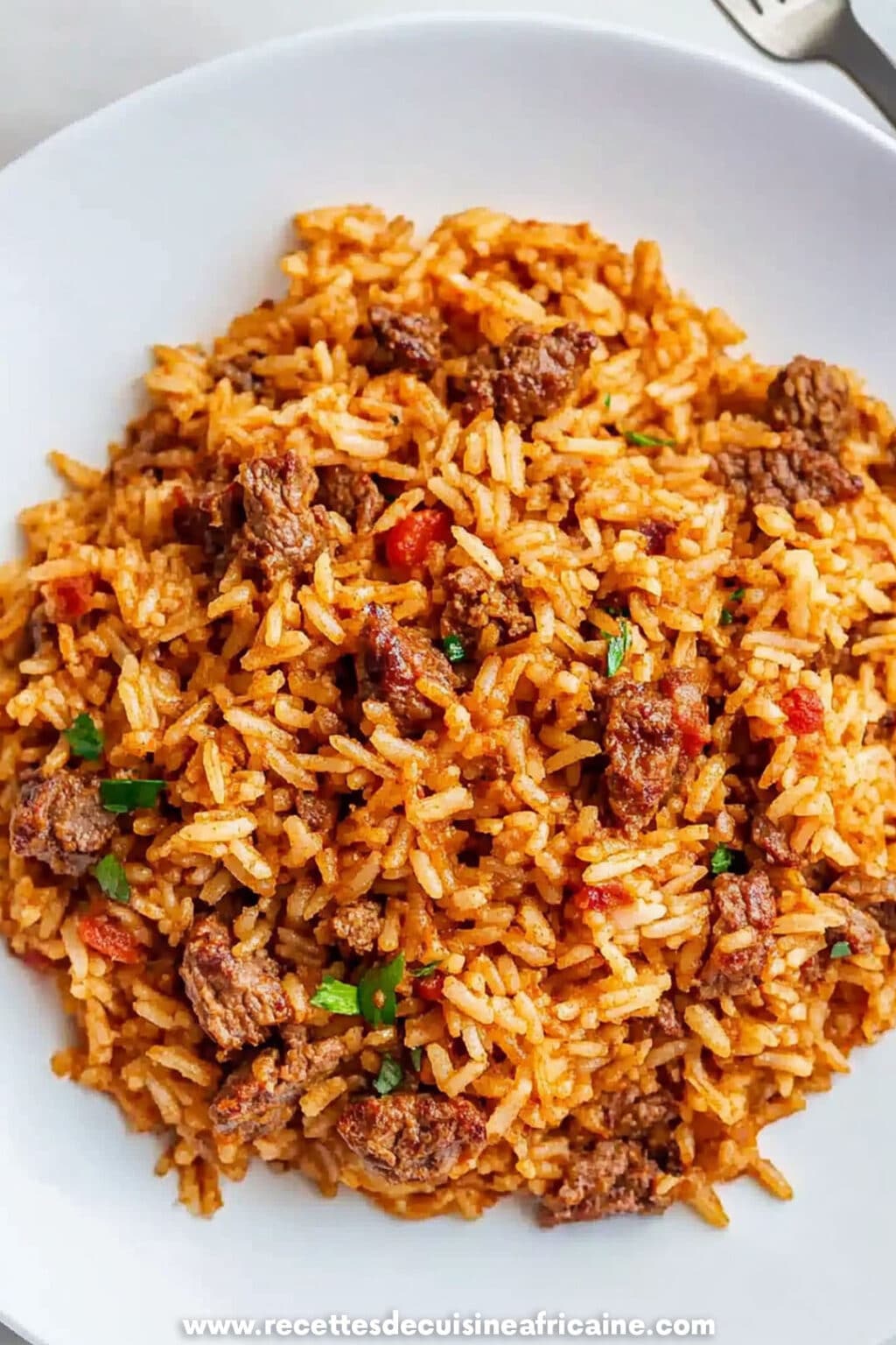 Riz et Bœuf en Une Seule Casserole - Recettes de Cuisine Africaine